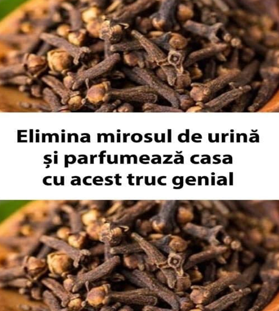 Elimina mirosul și parfumează casa cu acest truc genial – Mesaje din suflet